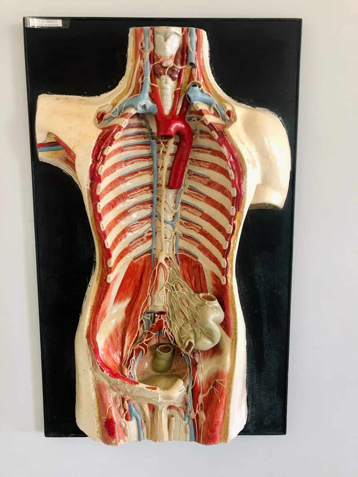 Get Strong .... but build your core too | Vicki Hill: Women's Health ...